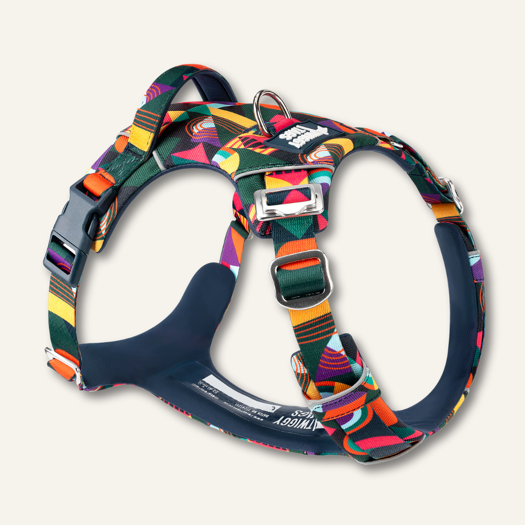 Twiggy Tags Adventure Harness Aurora 2.0 — Welland Valley Feeds Ltd