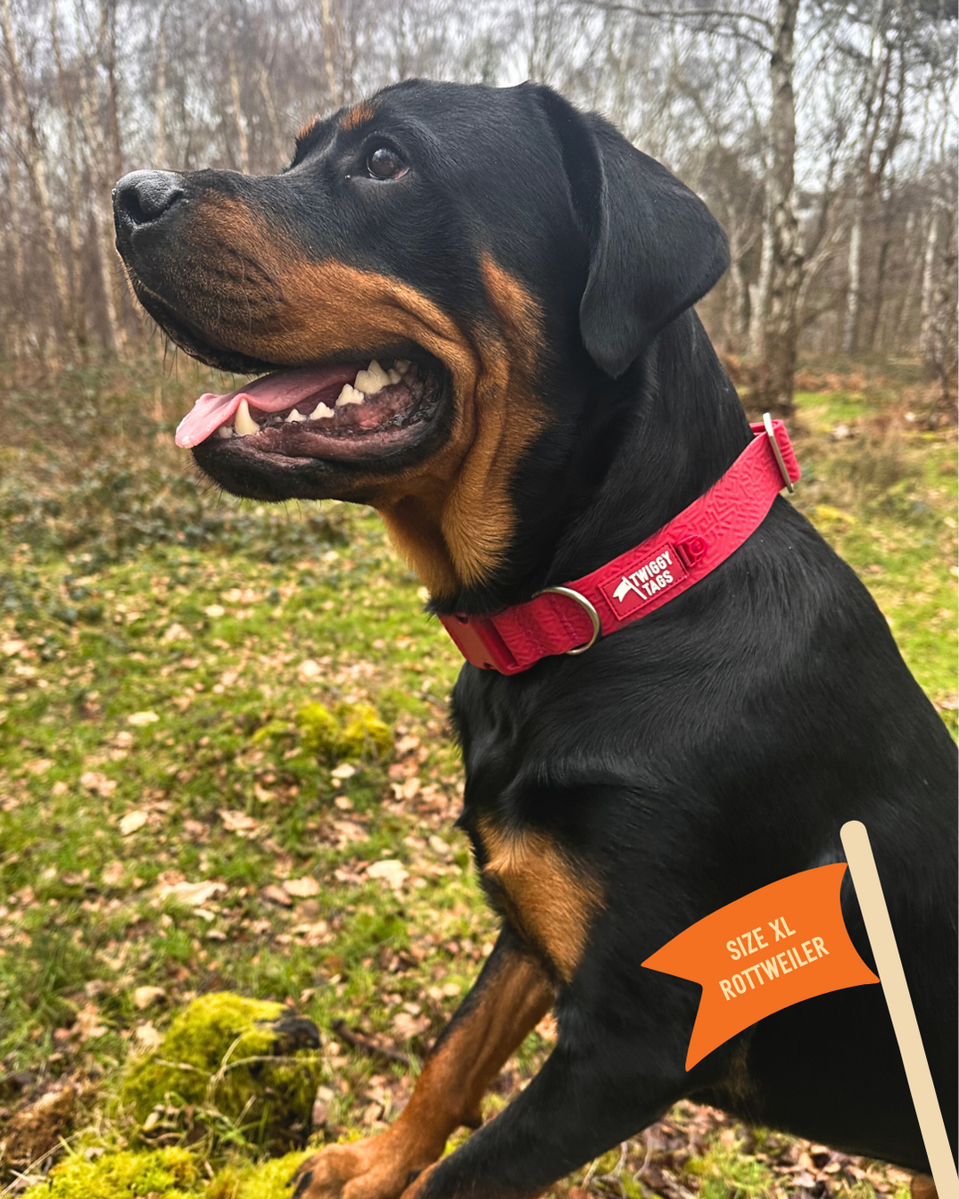 Twiggy Tags Tidal Waterproof Collar Fresia — Welland Valley Feeds Ltd