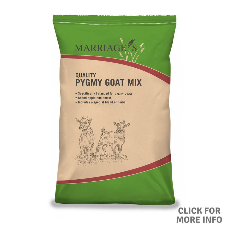 Marriages Pygmy Goat Mix 15kg — Welland Valley Feeds Ltd