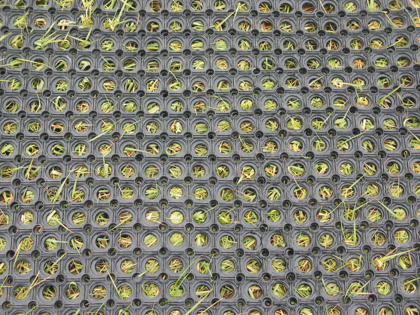 Surefoot Ground Ring Mat 1.5m x 1m — Welland Valley Feeds Ltd