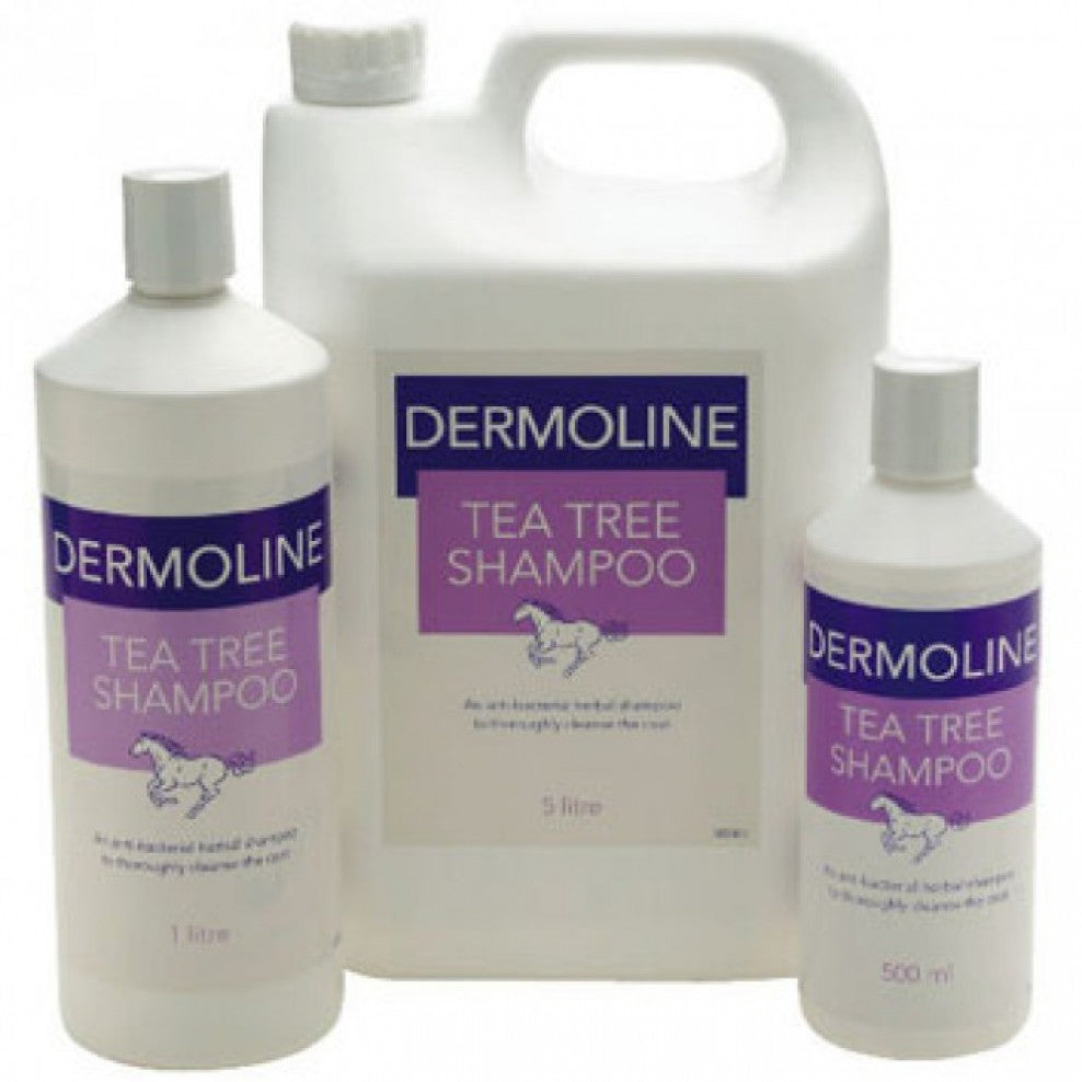 Dermoline Teatree Shampoo — Welland Valley Feeds Ltd