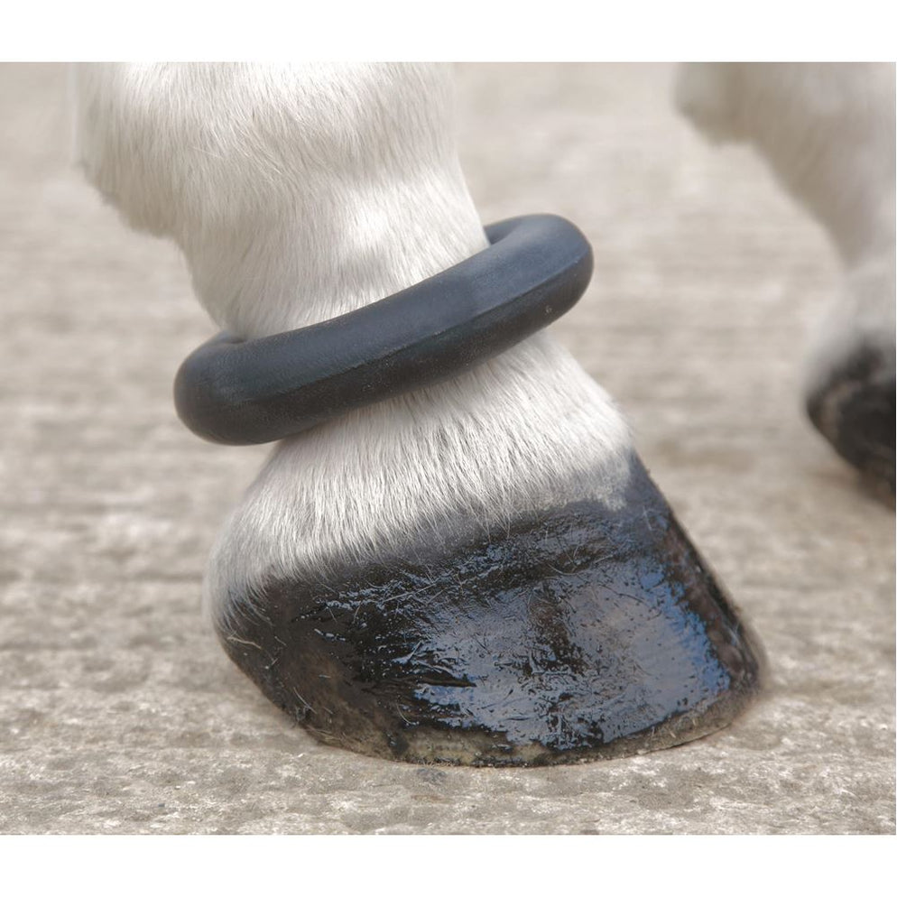 ARMA Fetlock Ring One Size — Welland Valley Feeds Ltd